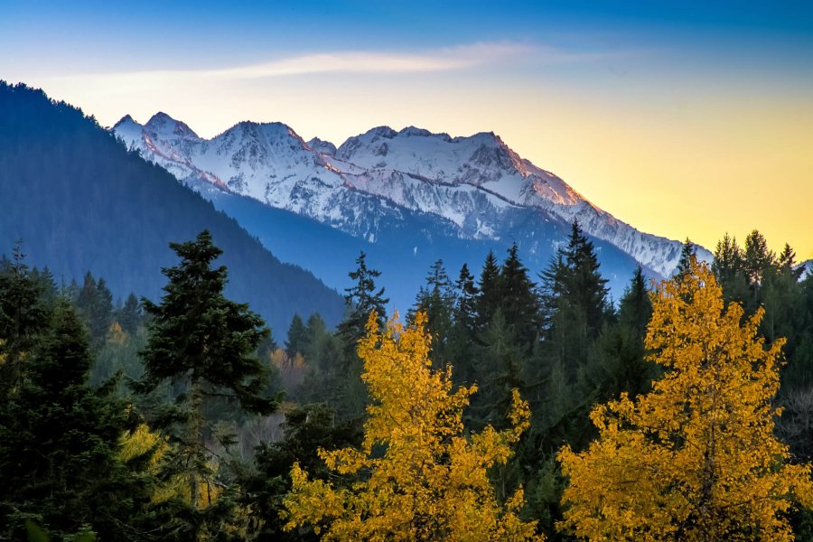 Fall Colors in Washington State and Scenic Fall Drives