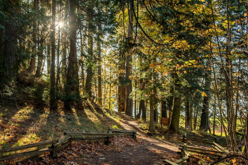 Experience Fall in Washington State on San Juan Island