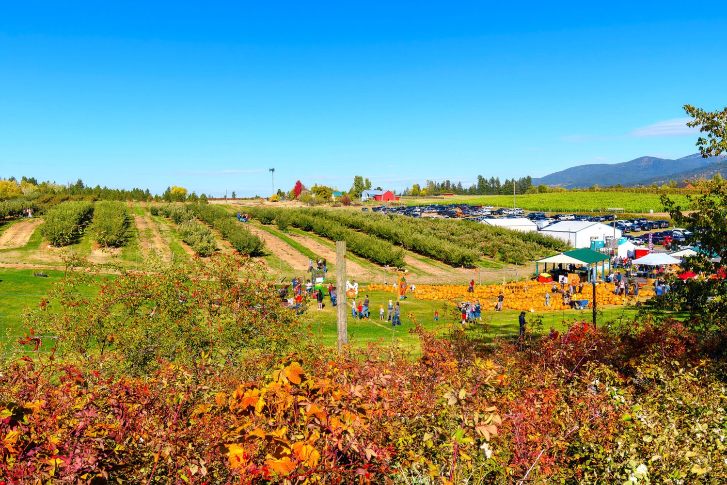 Fall Colors in Washington State and Scenic Fall Drives