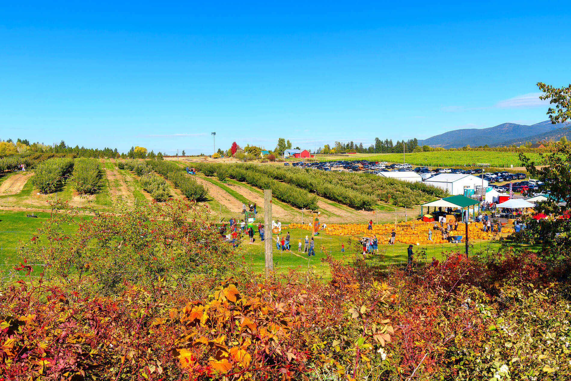 Fall Colors in Washington State and Scenic Fall Drives