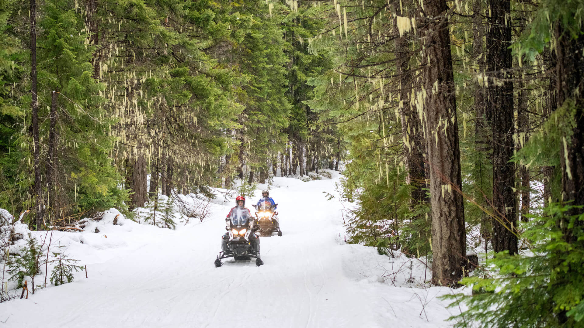 Snowmobiling in Washington State: Find Trails and Tours