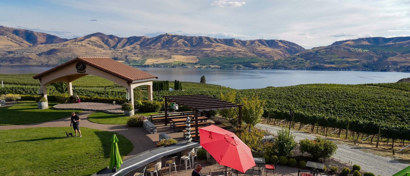 Tour the Wineries and Vineyards of Washington Wine Country