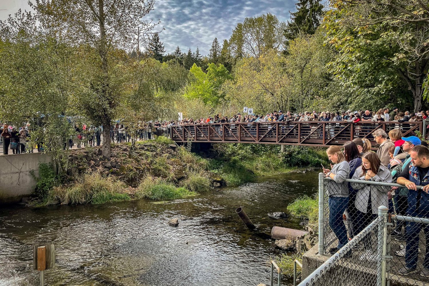 Issaquah Travel Guide: Things to Do in Issaquah
