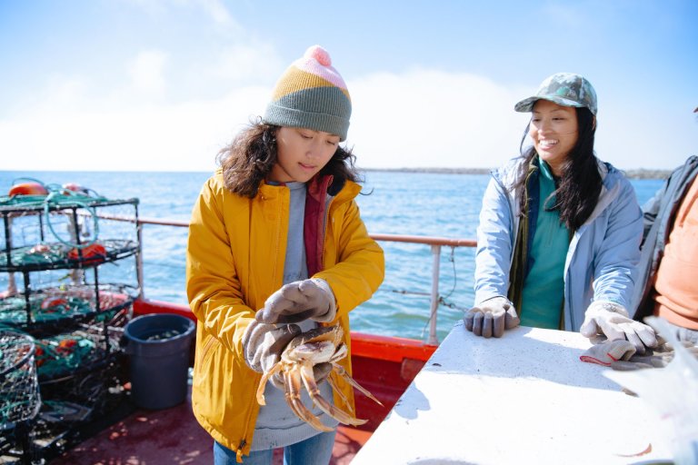 Guide to Shellfish Harvesting in Washington: Oysters & More