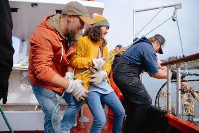 Guide to Shellfish Harvesting in Washington: Oysters & More