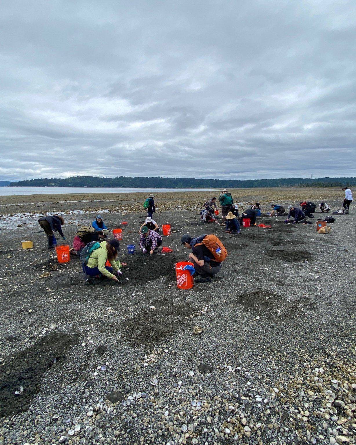 Guide to Shellfish Harvesting in Washington: Oysters & More