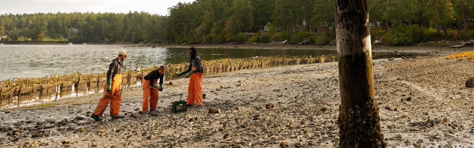 Outdoor Activities in Washington State: Adventures in Nature