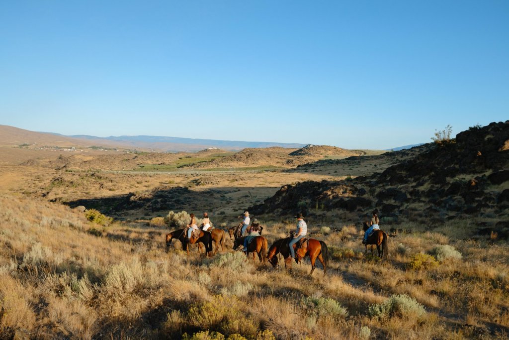 Discover the Best Things To Do in Washington State