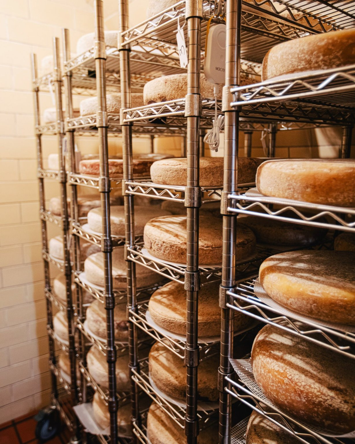 Where to Find Washington Cheese: Local Farms and Creameries