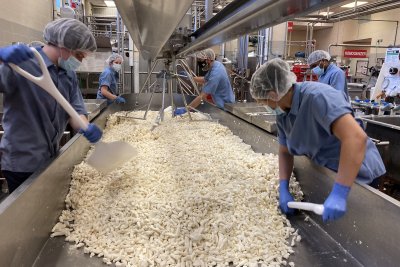 Where to Find Washington Cheese: Local Farms and Creameries