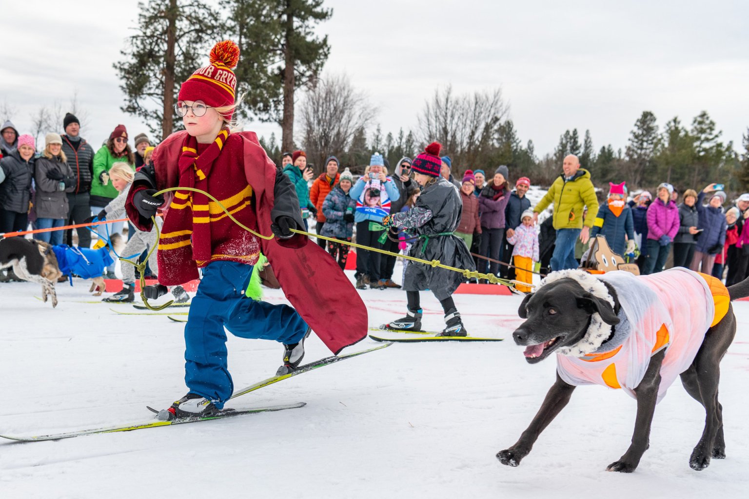 Methow Trails: North America's Largest Cross-Country Ski Area