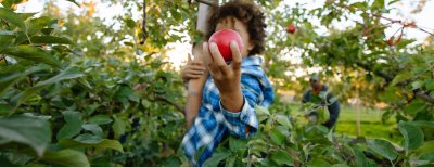 Taste Washington State Food: From Seafood to Apples and Wine