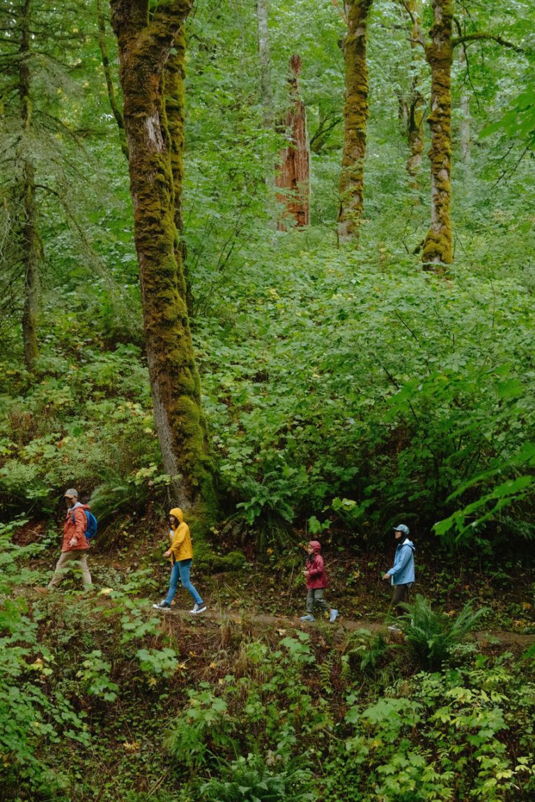 Washington State Tourism: Visit Washington State