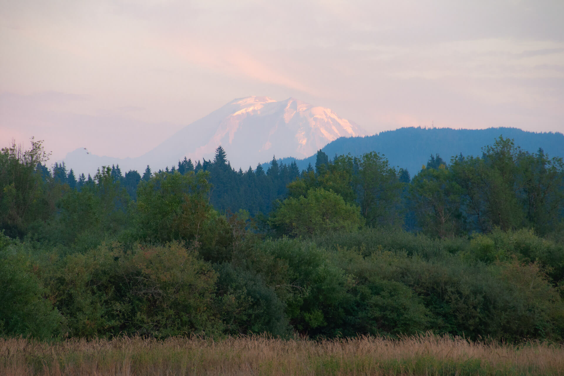 Redmond WA: Discover Natural Beauty and Cultural Experiences